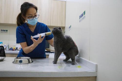 China: Vet cares for pets stuck in hospital during quarantine