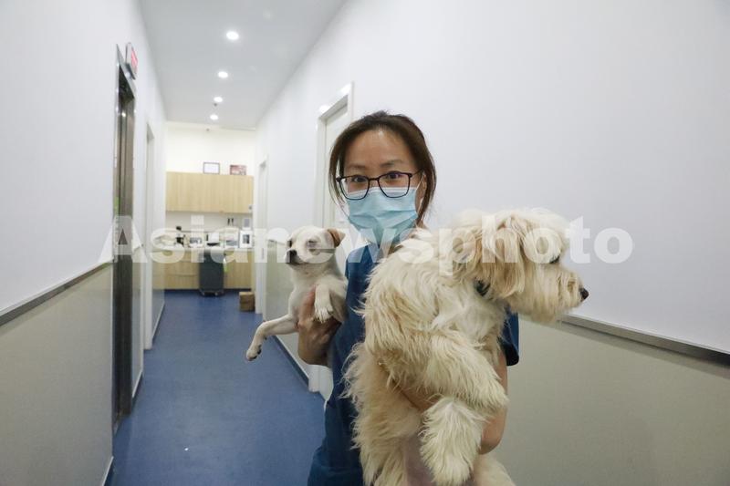 China: Vet cares for pets stuck in hospital during quarantine